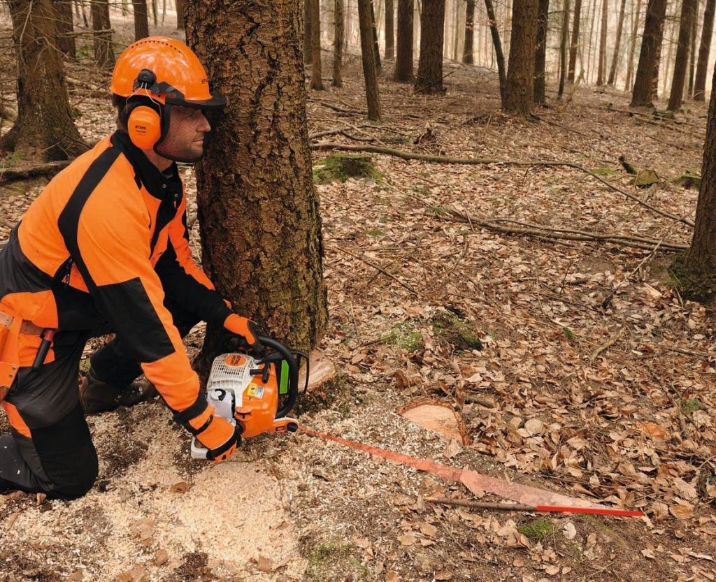 STIHL Laser 2 in 1 - Memigavi.it
